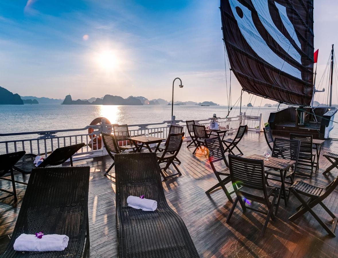 Bhaya Cruises Halong Bay: Price, Reviews & 2-Day, 3 Day Itinerary 2026